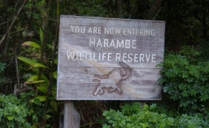 cs193p - Project #3 Assignment #3 Extra Task #3 - cs193p assignment solutions et al